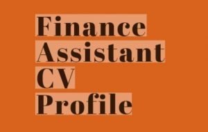 Finance Assistant CV Profile Example - Learnist.org